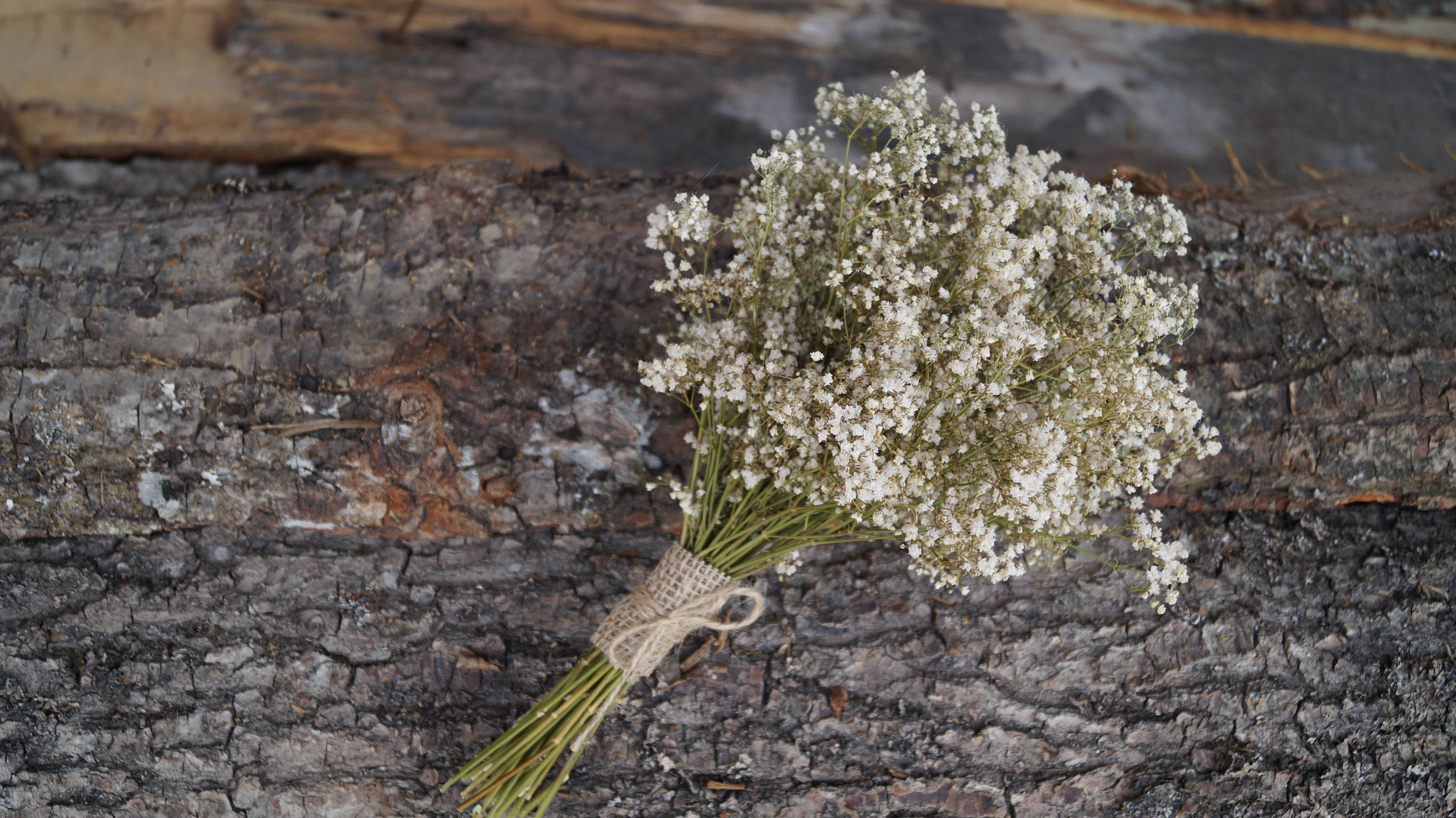 Dried White Gypsy Bouquet Bridal Bouquet Bouquet of Dried Natural Babys ...