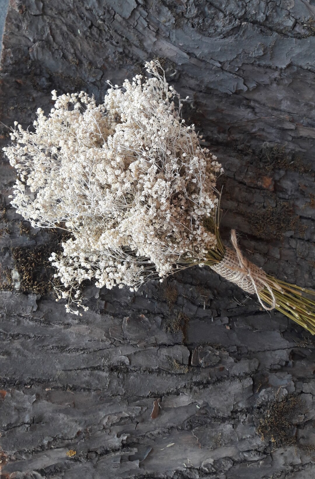 Dried White Gypsy Bouquet Painted Gypsophilia Bouquet Bridal Bouquet ...