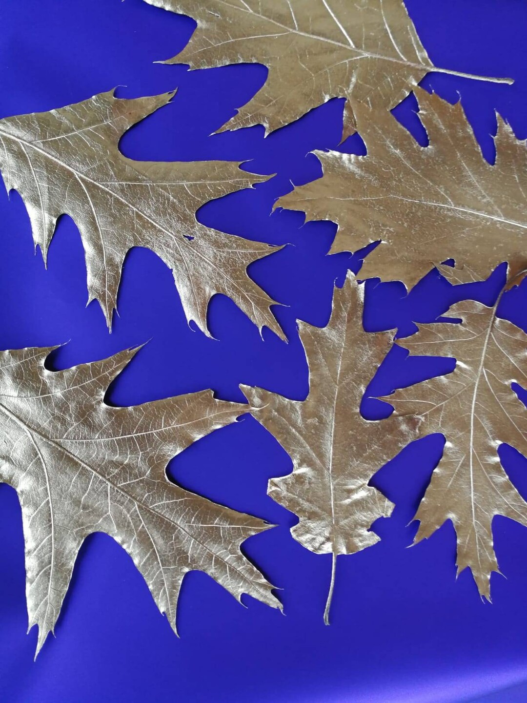 10 Golden Leaves Set Gold Painted Leaves Painted Oak Leaf Set Christmas ...