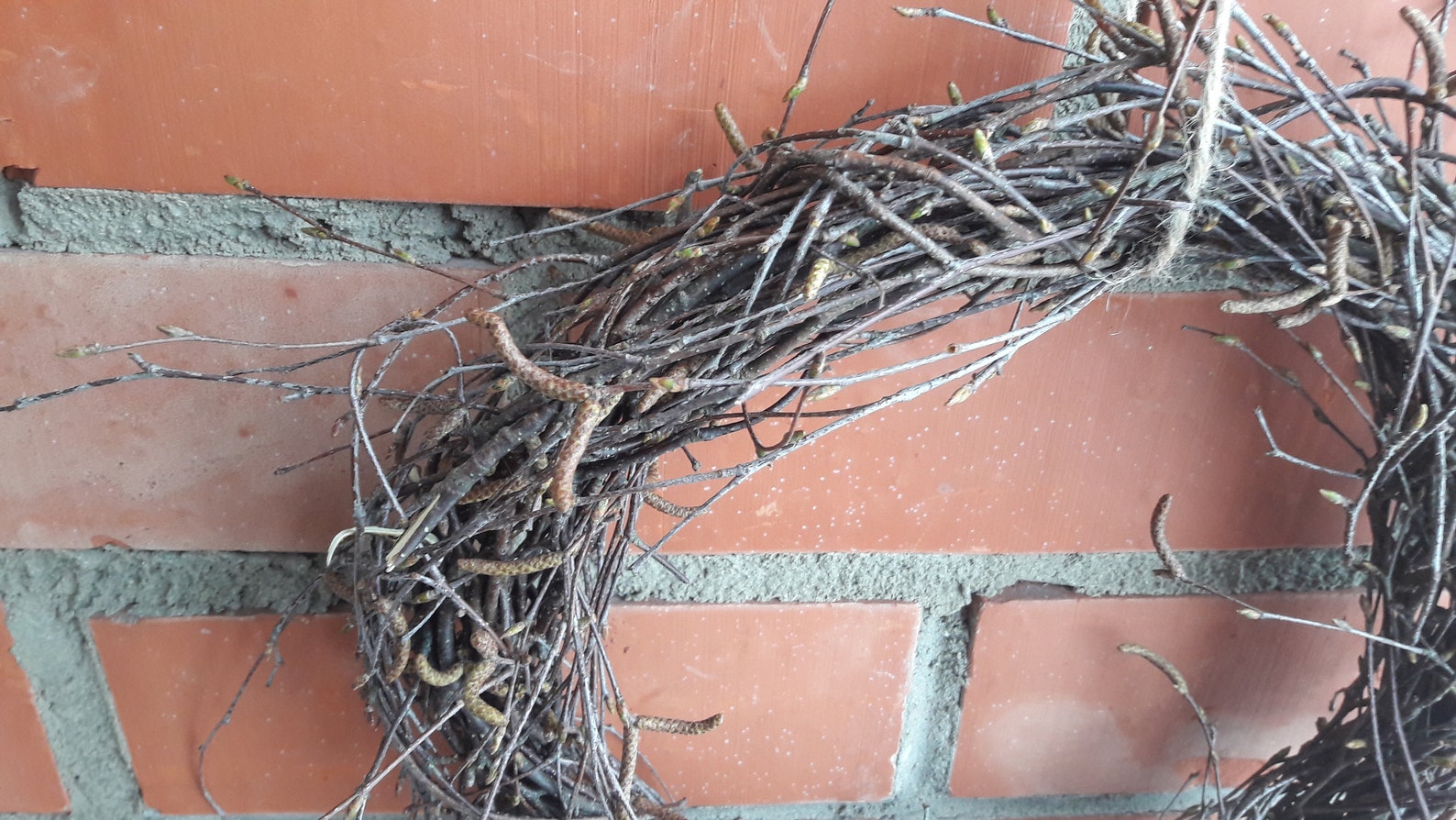 Birch Twig Wreath Spring Door Wreath Easter Wreath Twig - Etsy