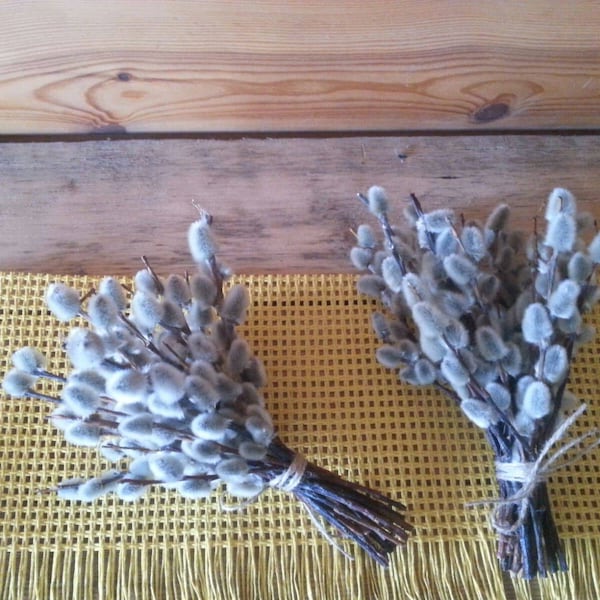 Pussy Willow Bouquet - Etsy