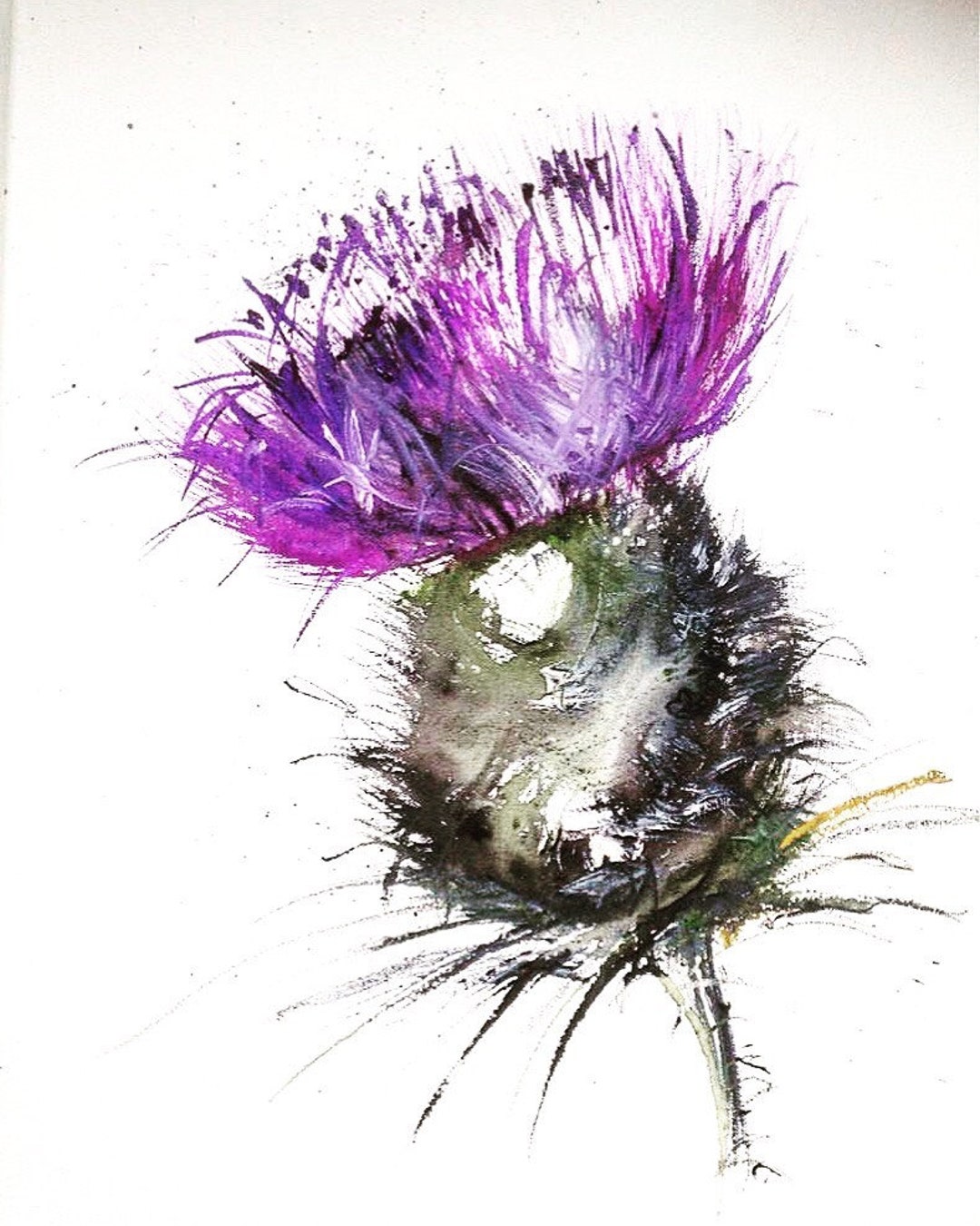 Scottish Expressive Thistle - Etsy