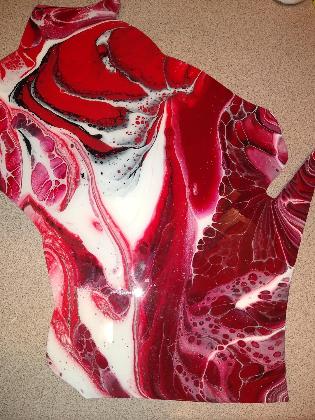 Wisconsin Badger Colors Resin Wall Decor - Etsy