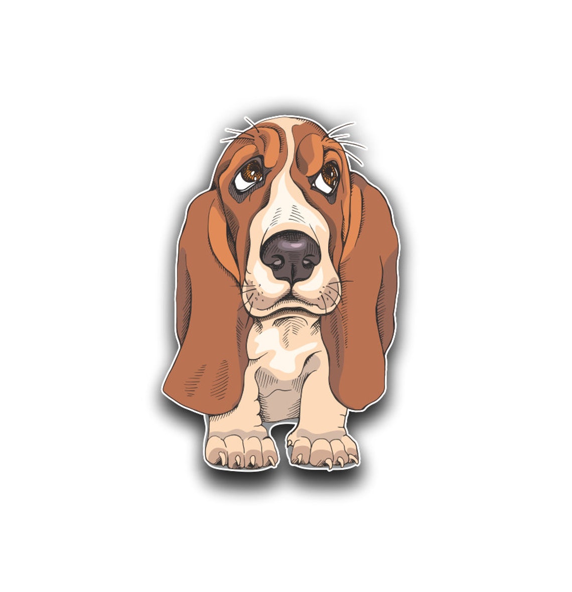 Basset Hound Sticker Decal Bumper Sticker for Auto Cars Trucks - Etsy