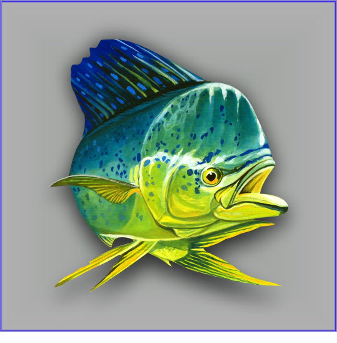Mahi Mahi Fish Sticker / Decal **free Shipping** - Etsy
