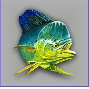 Mahi Mahi Fish Sticker / Decal **free Shipping** - Etsy
