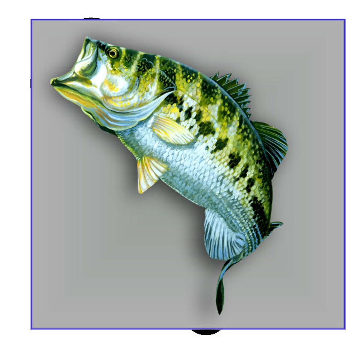 Largemouth Bass Sticker / Decal free Shipping - Etsy