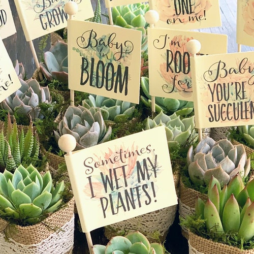 Baby Shower Succulent Tag Succulent Favor Tags Plant Puns - Etsy