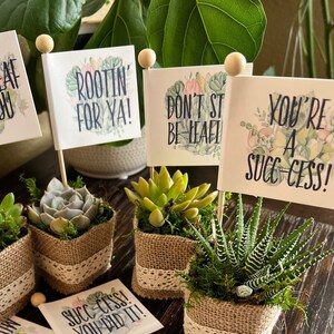 Graduation Succulent Favors Pun Tags Burlap Wrap Boho Grad - Etsy