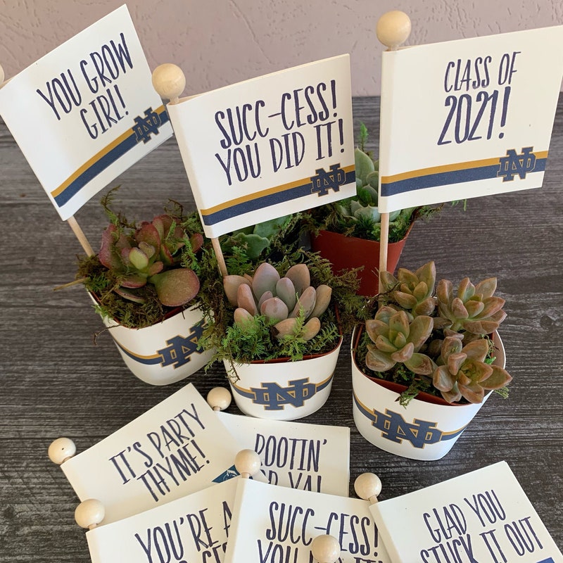 Graduation Favors - Etsy