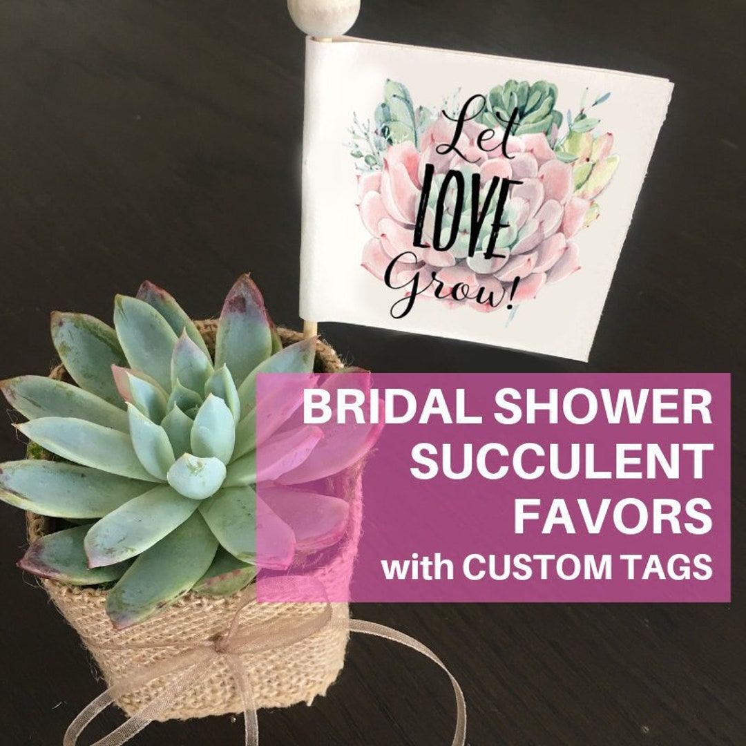 Bridal Shower Favors Succulents Personalized With Custom Tags // 20 ...