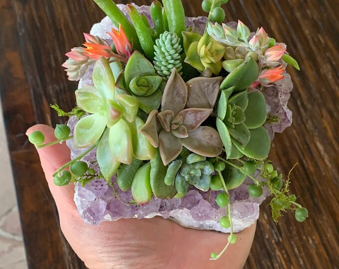 Amethyst Geode Succulent Garden, Purple Crystal Succulent Arrangement ...