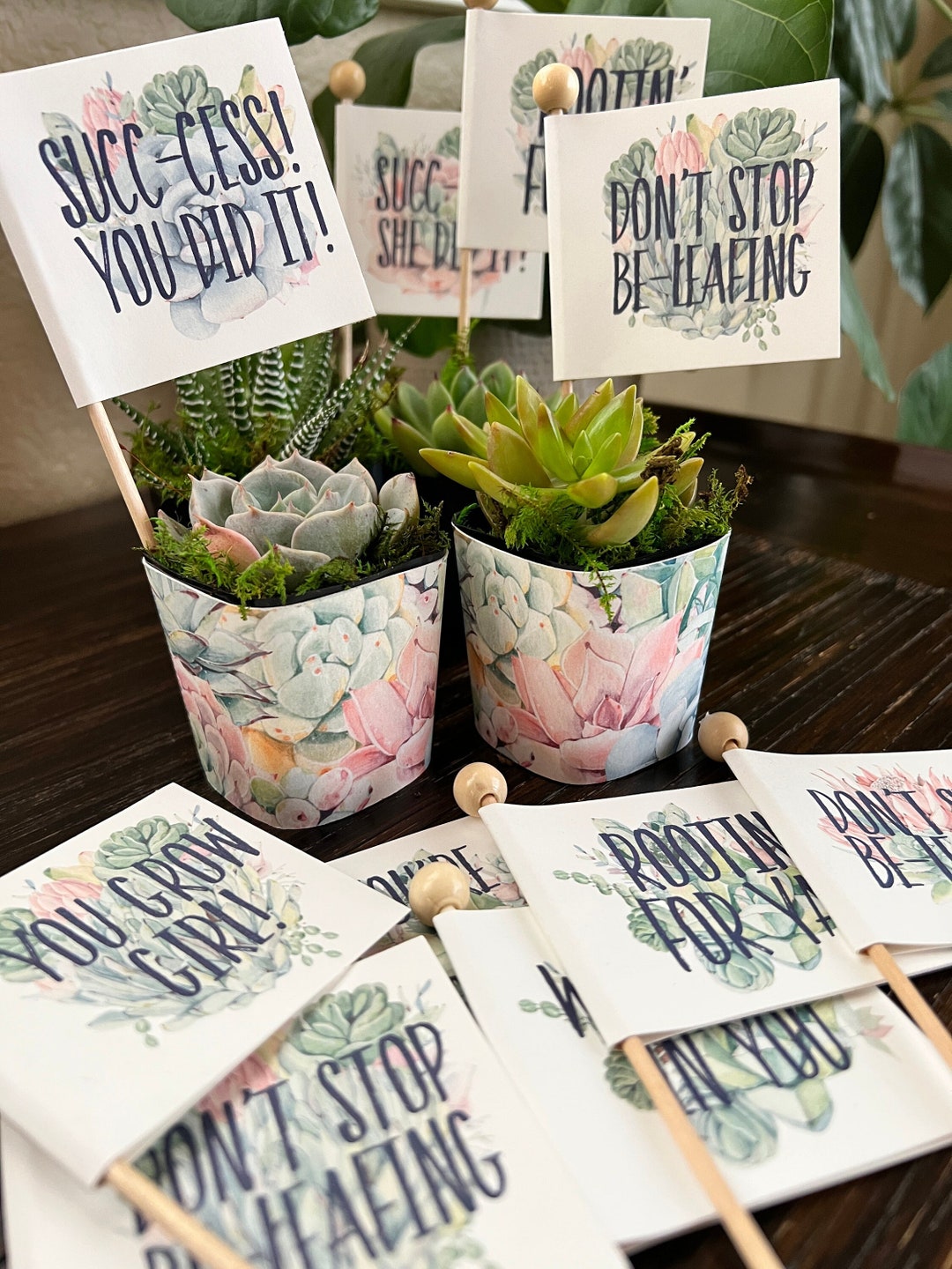 Graduation Succulent Favors, Funny Tags, Grad Party Favors, Plant Puns ...