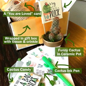 Mega Breakup Care Package Prick Pun, Separation Divorce Online Dating ...