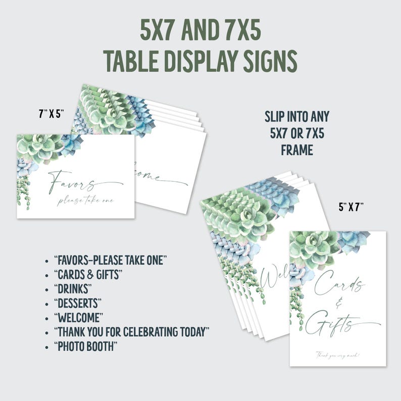 Huge Set of Succulent Theme Party Goods, Greens Blues, Signs, Tags ...