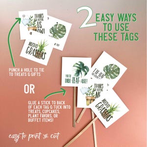 Appreciation Day Plant Pun Thank You Tags, Matching Signs, Funny Thank ...