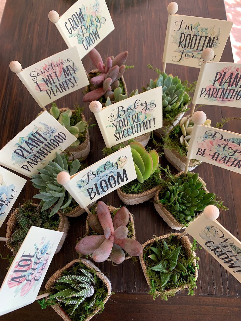 Baby Shower Succulent Favors Succulent Favor Tags Plant Pun - Etsy