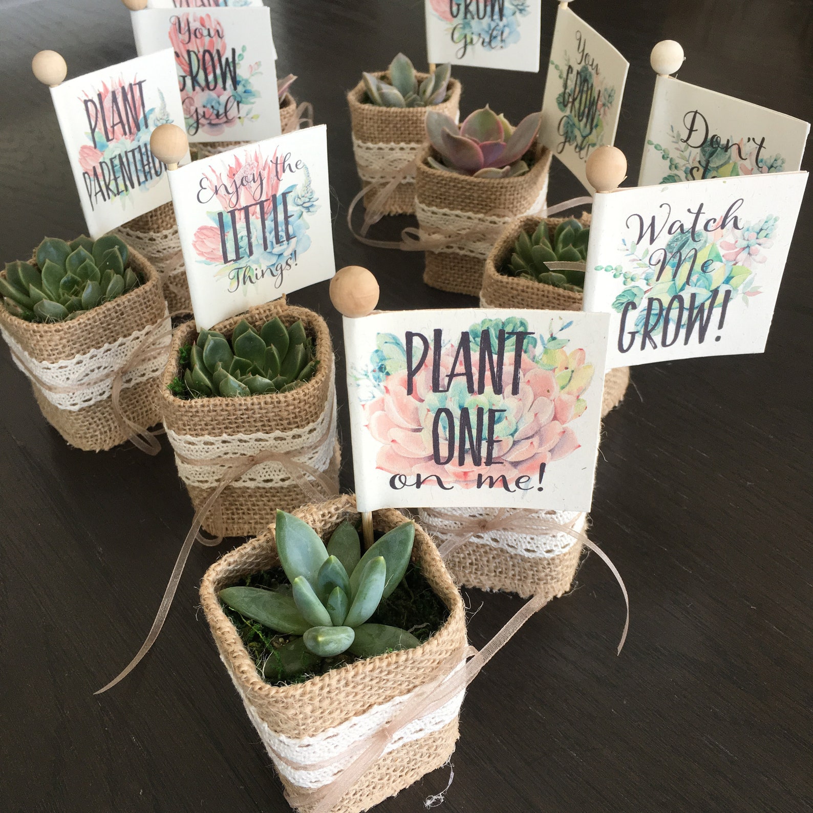 Boho Chic Succulent Baby Shower Favors With Plant Puns, Custom Tags ...