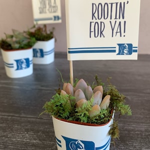 Graduation Succulent Plant Favors, Custom Tags With School Colors ...