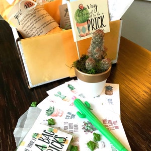 Mega Breakup Care Package Prick Pun, Separation Divorce Online Dating ...