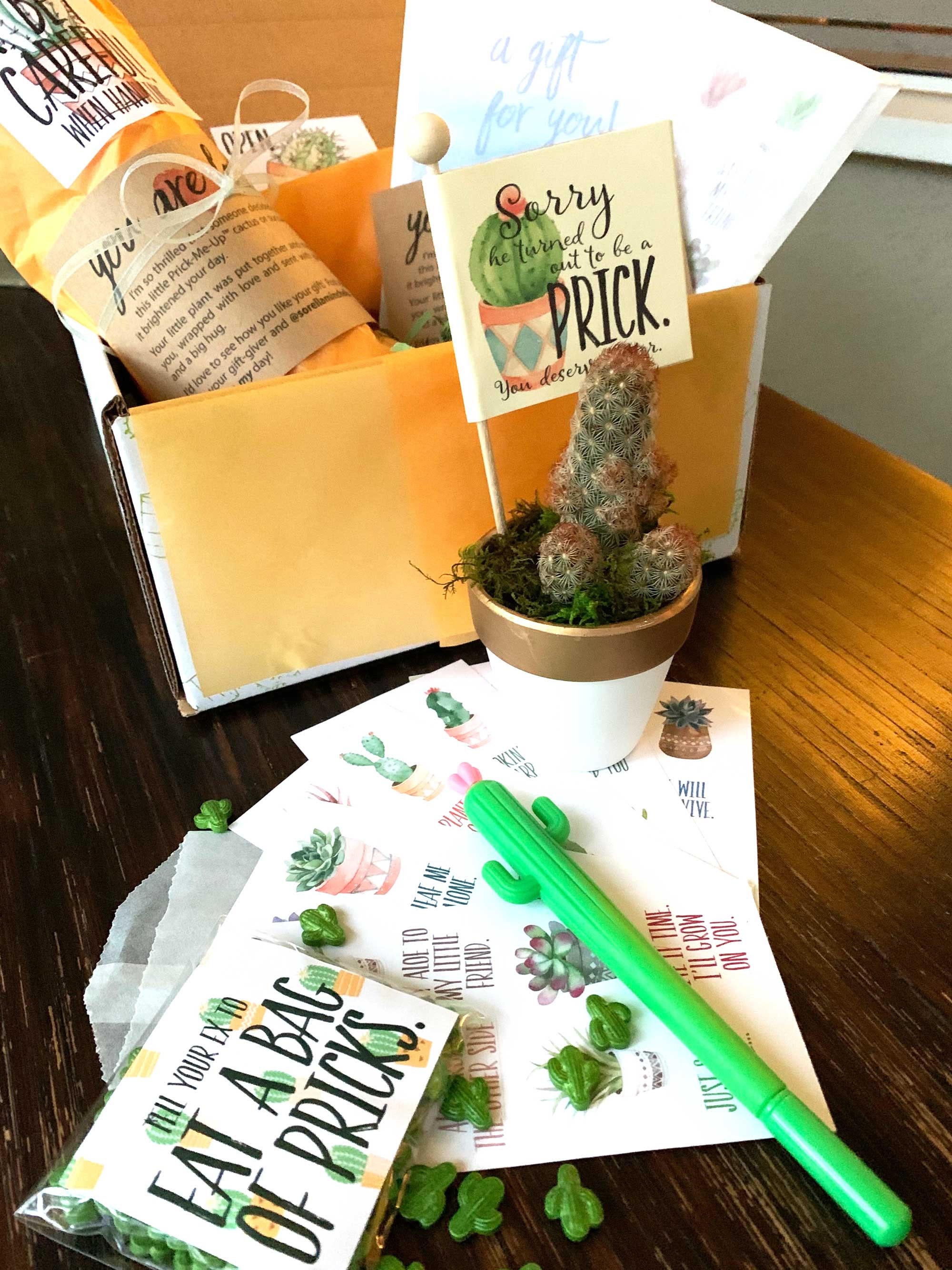 Mega Breakup Care Package Prick Pun Separation Divorce Online - Etsy