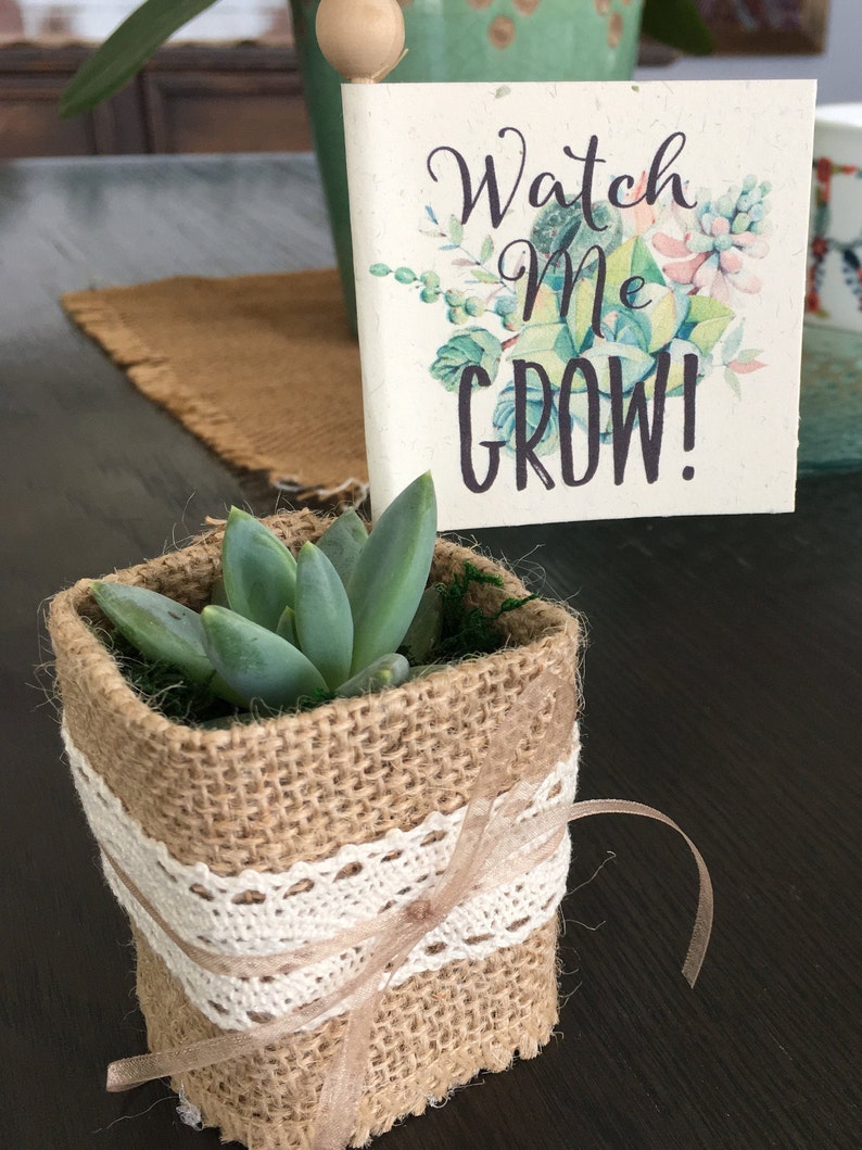 Boho Chic Succulent Baby Shower Favors With Plant Puns Custom - Etsy