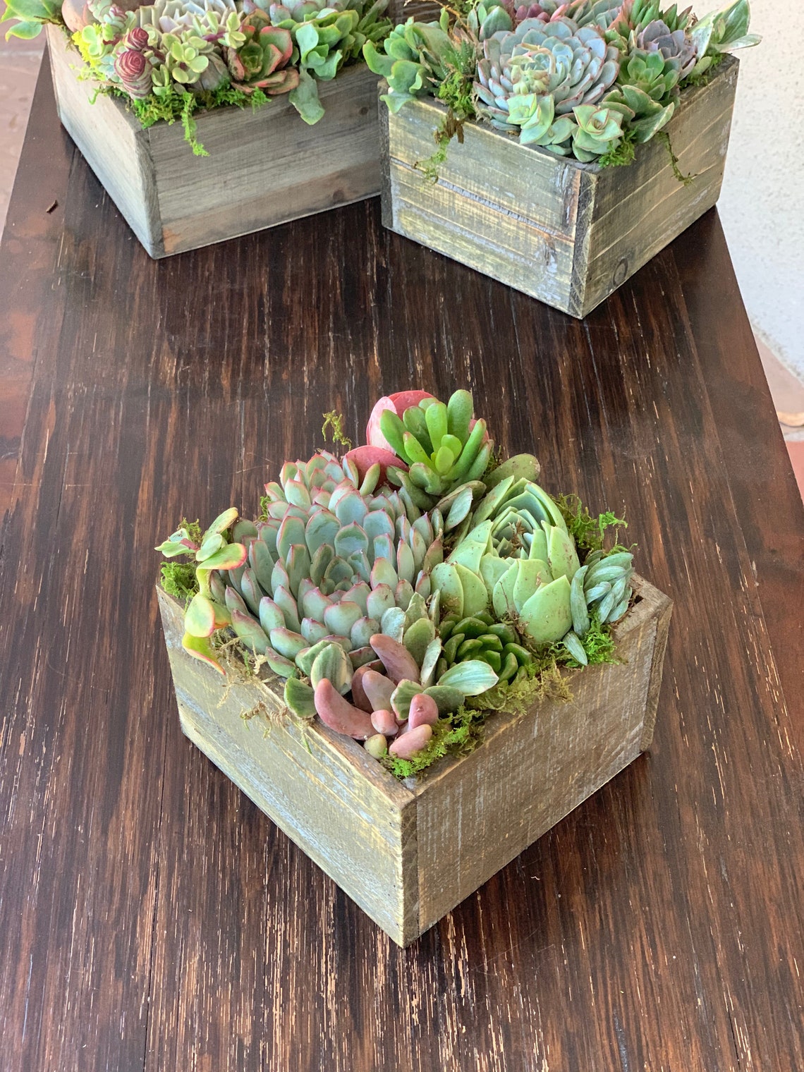 Thank You Succulent Arrangement Thanks for Everything Client - Etsy