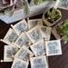Gender Neutral Baby Shower Favor Tags Plant Puns Personalized Custom ...