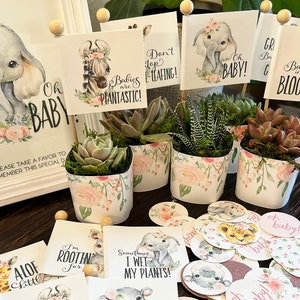 Complete Set of Girl Safari Baby Animal Shower Succulent Favors, Party ...