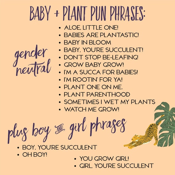 Jungle Puns: Roaring Laughs for Your Wild Side - The Funny Puns