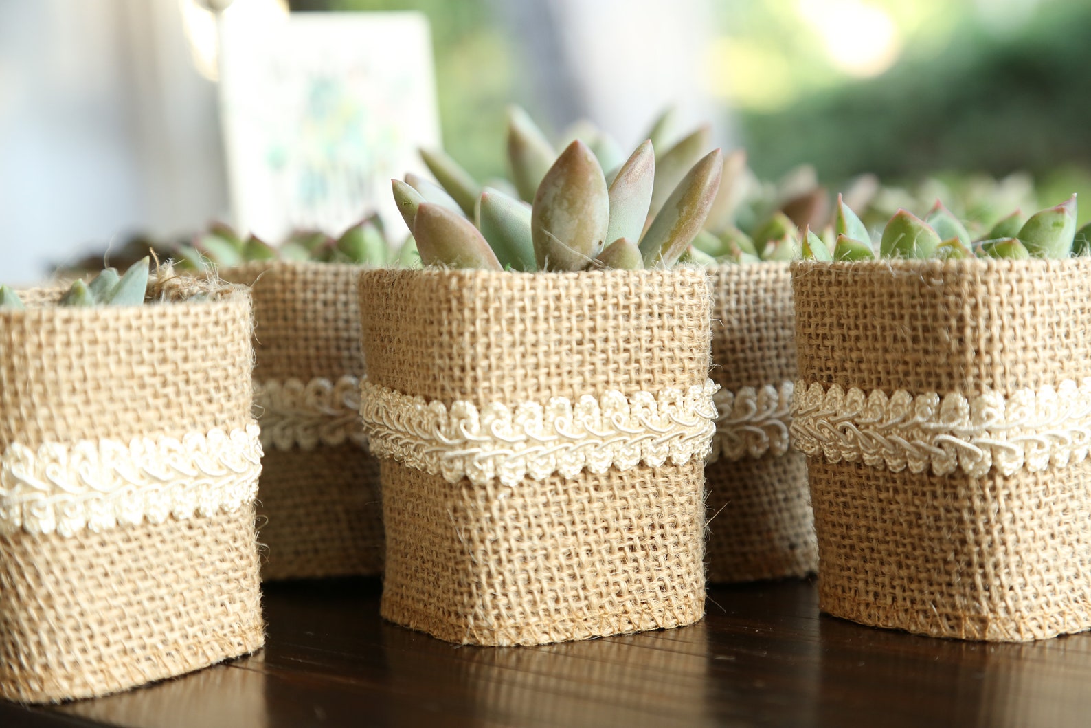 Boho Chic Succulent Baby Shower Favors with Plant Puns Custom | Etsy
