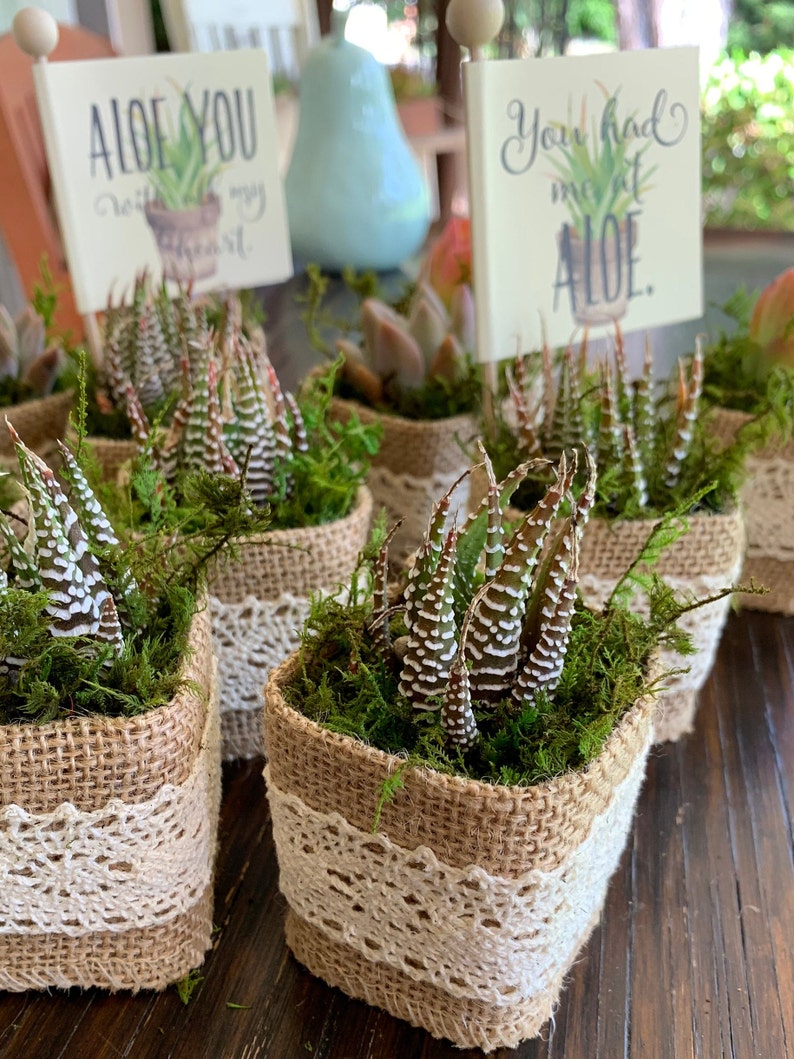 Wedding Favors, Succulent Wedding Favors, Customized Tags, Plant Puns ...