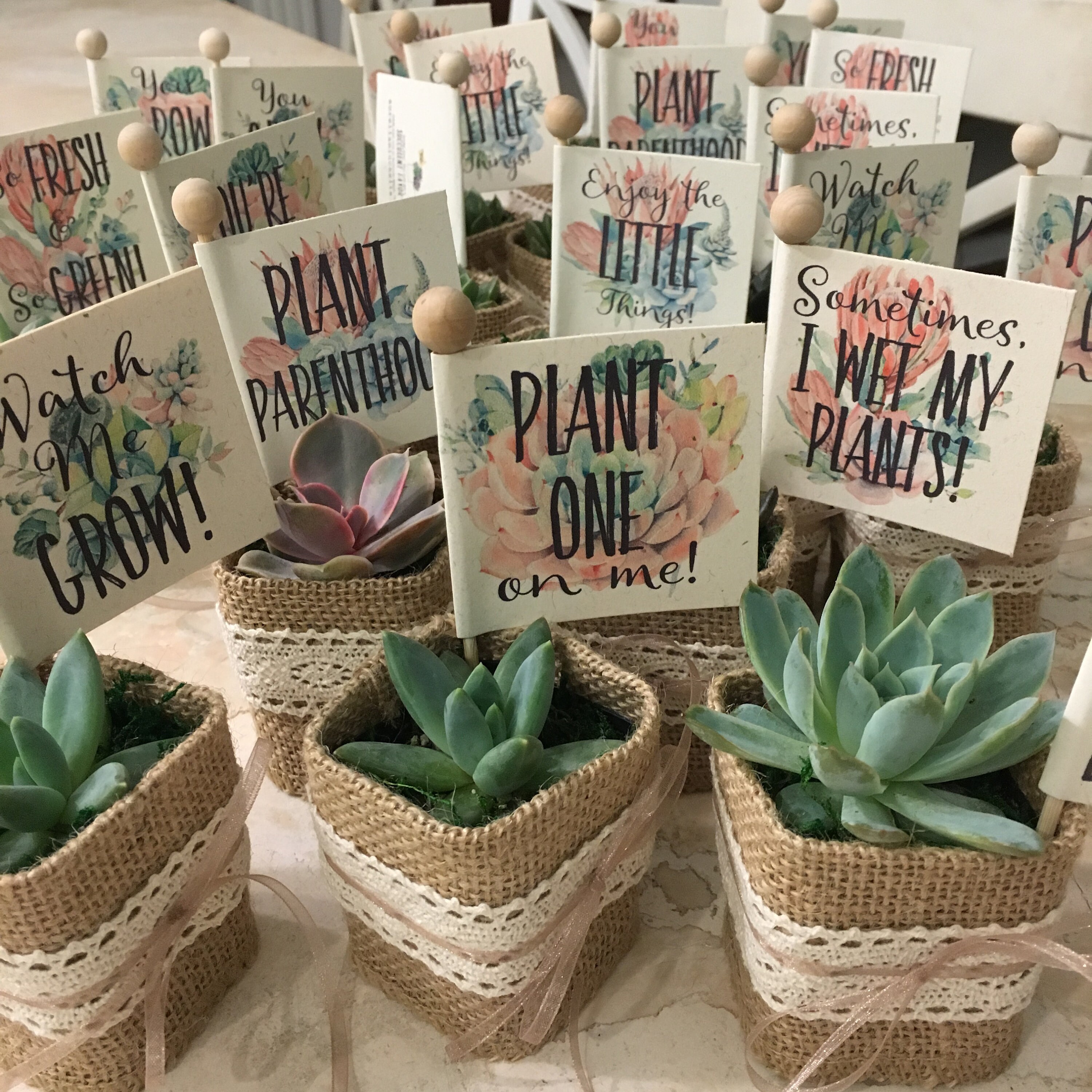 Boho Chic Succulent Baby Shower Favors with Plant Puns Custom | Etsy