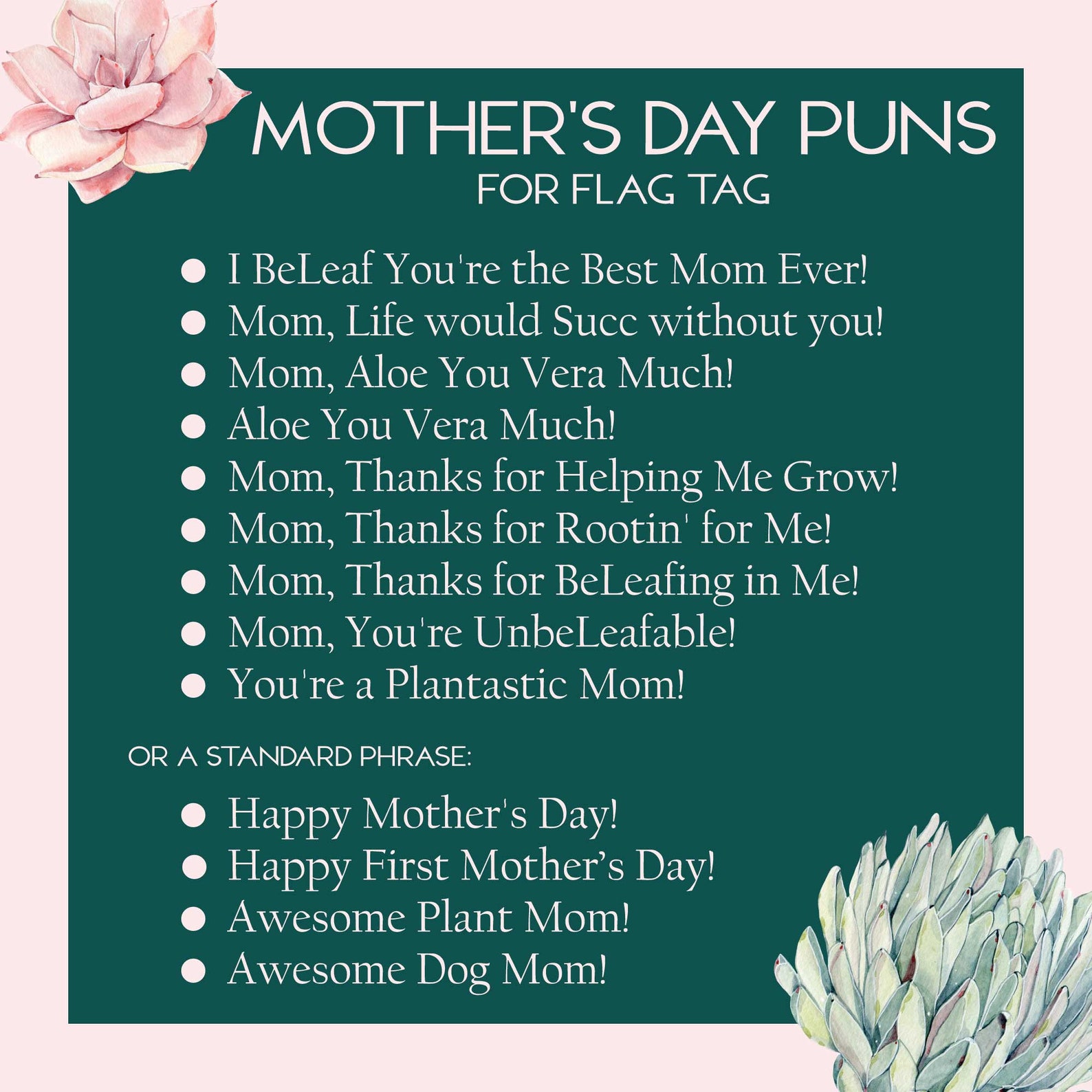 Mother's Day Succulent Gift Box, Live Succulent Arrangement for Mom - Etsy