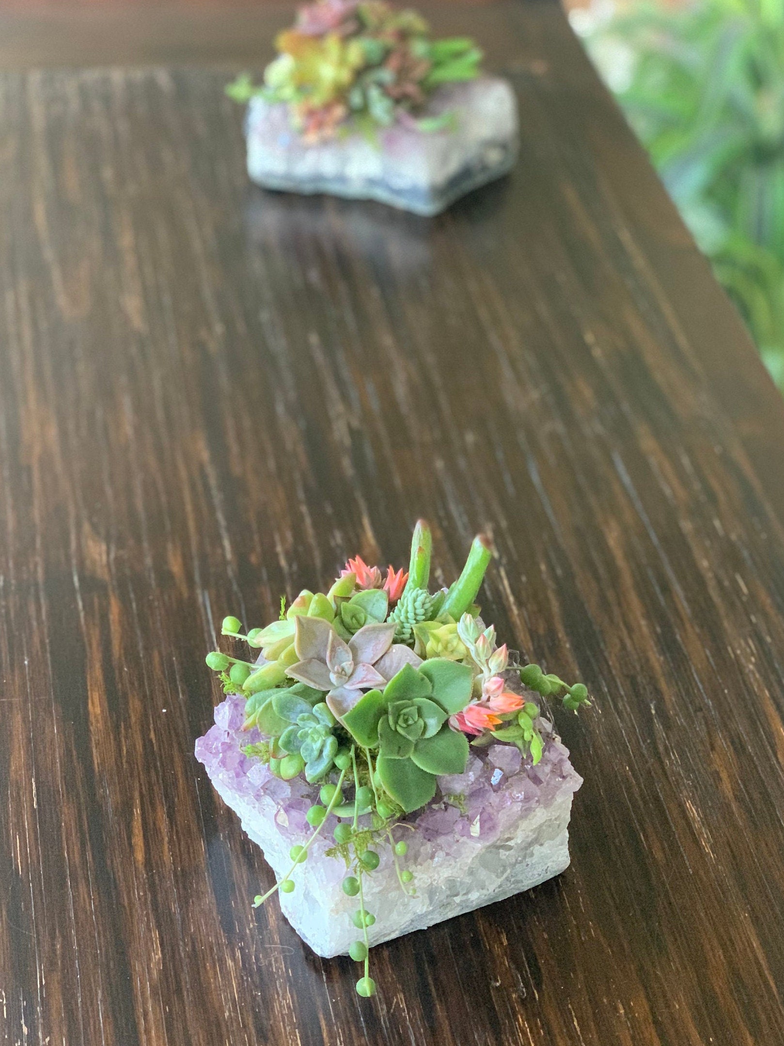 Anniversary Amethyst Crystal Succulent Arrangement Purple | Etsy