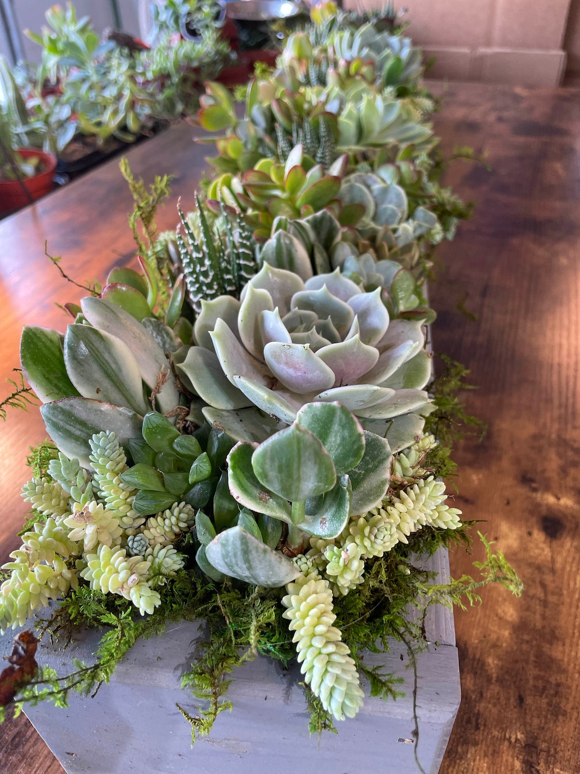 Succulent Table Centerpiece Display Long Wood Box Home Decor - Etsy