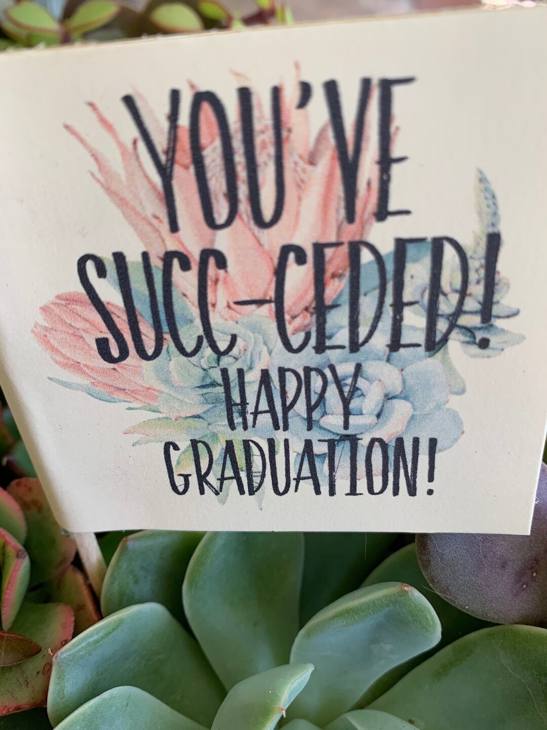 Succ-cess (success!) You Did It! Graduation Succulent Gift Arrangement ...