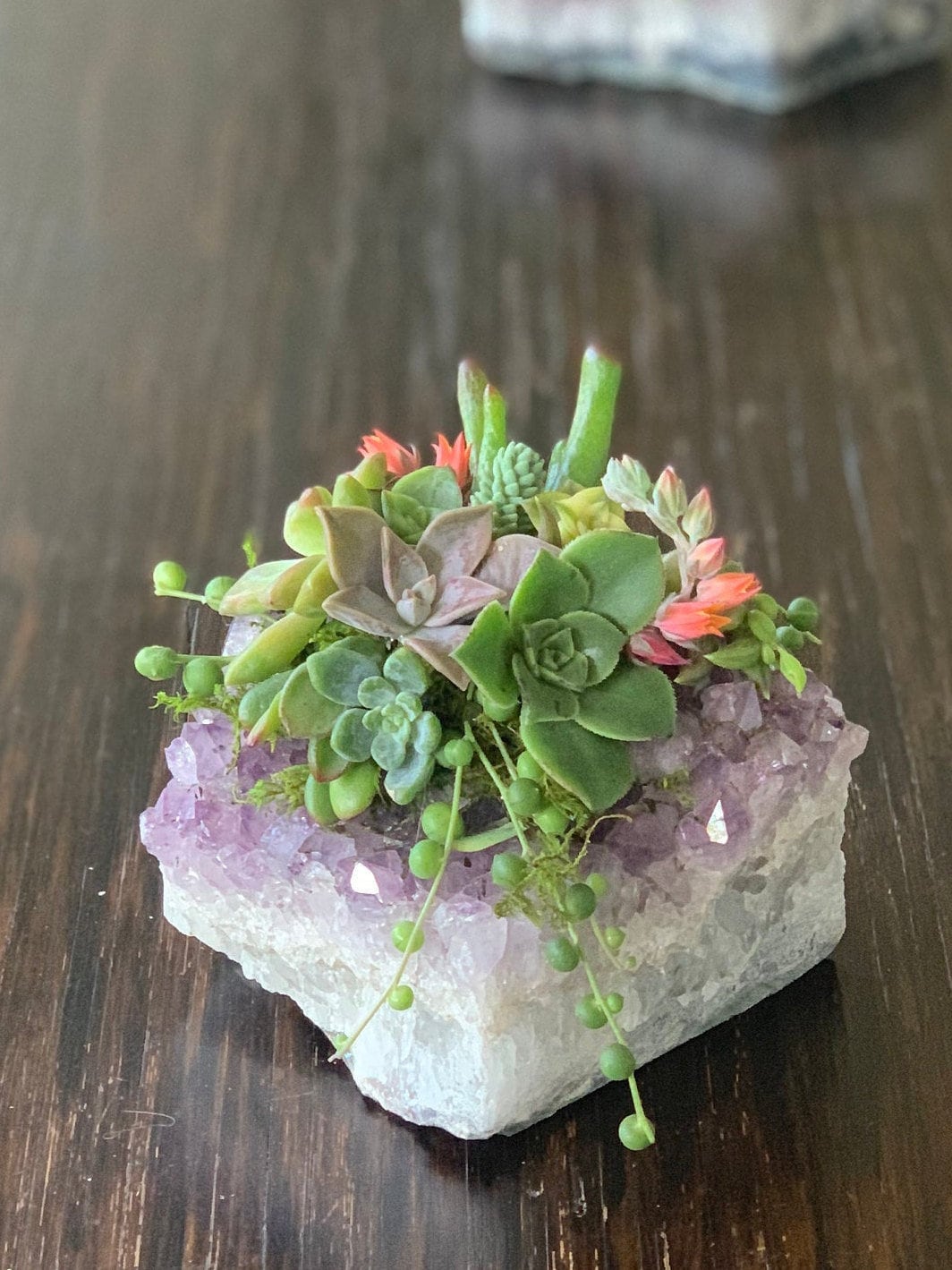 Anniversary Amethyst Crystal Succulent Arrangement Purple | Etsy