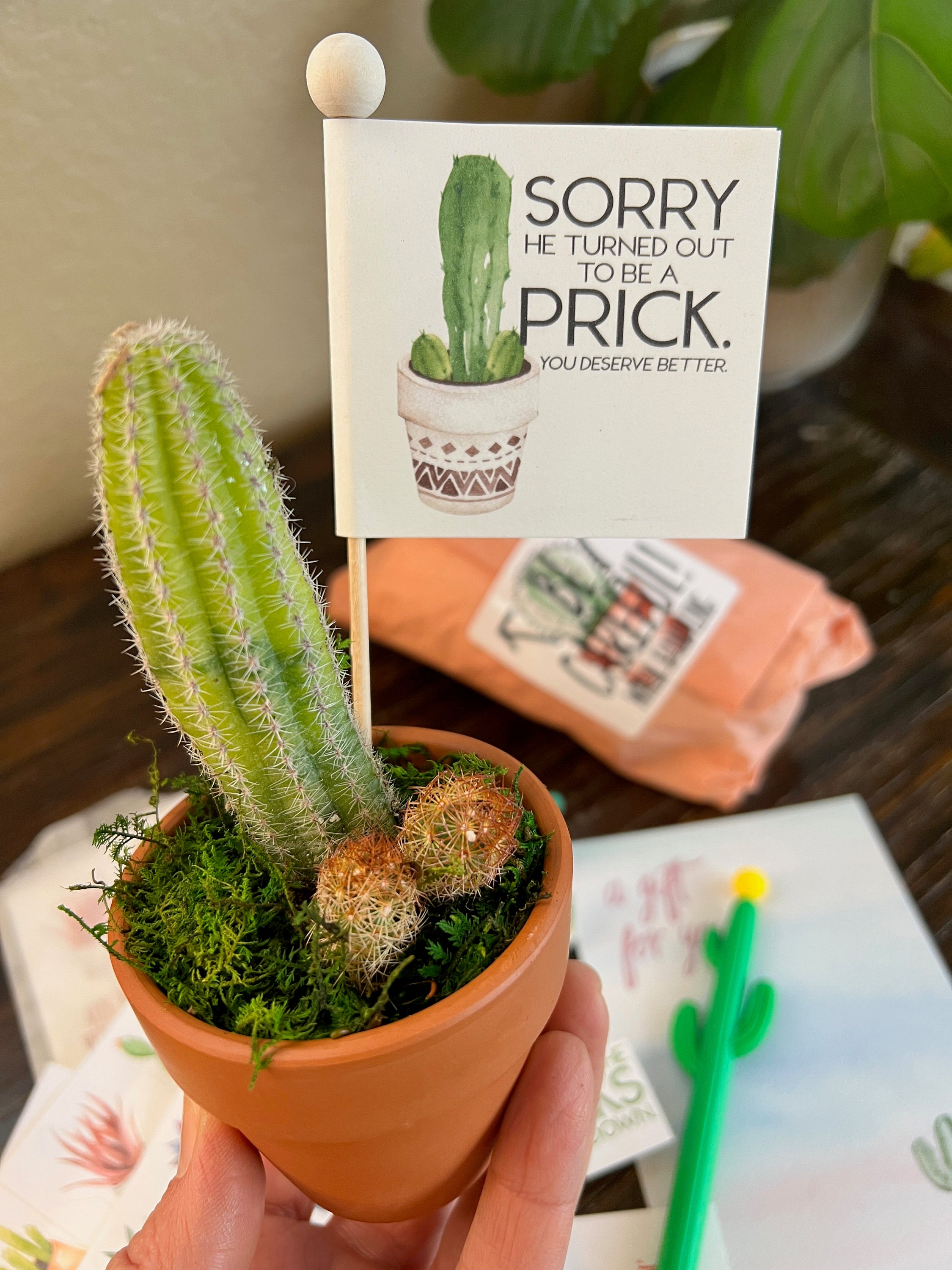 Sorry He Turned Out to Be a Prick, Cactus Pun Breakup Gift, Gift for ...