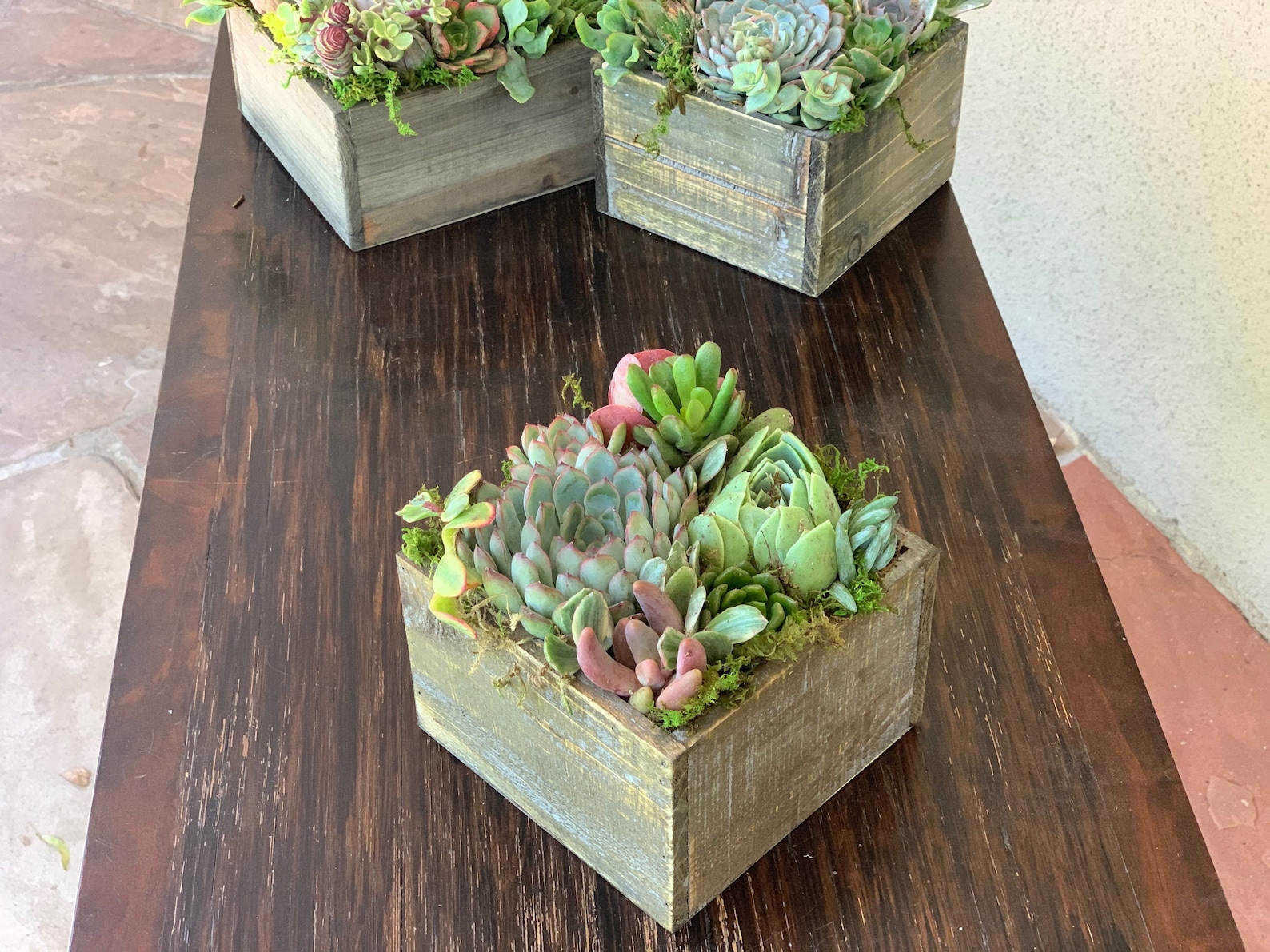 Thank You Succulent Arrangement Thanks for Everything Client | Etsy