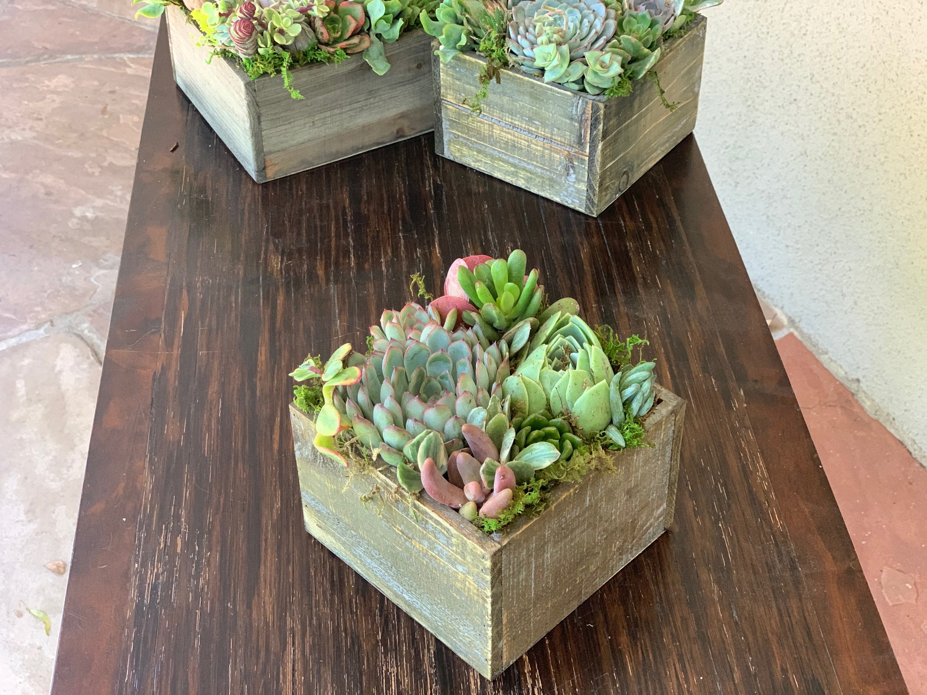 Thank You Succulent Arrangement, Thanks for Everything, Client Gift ...