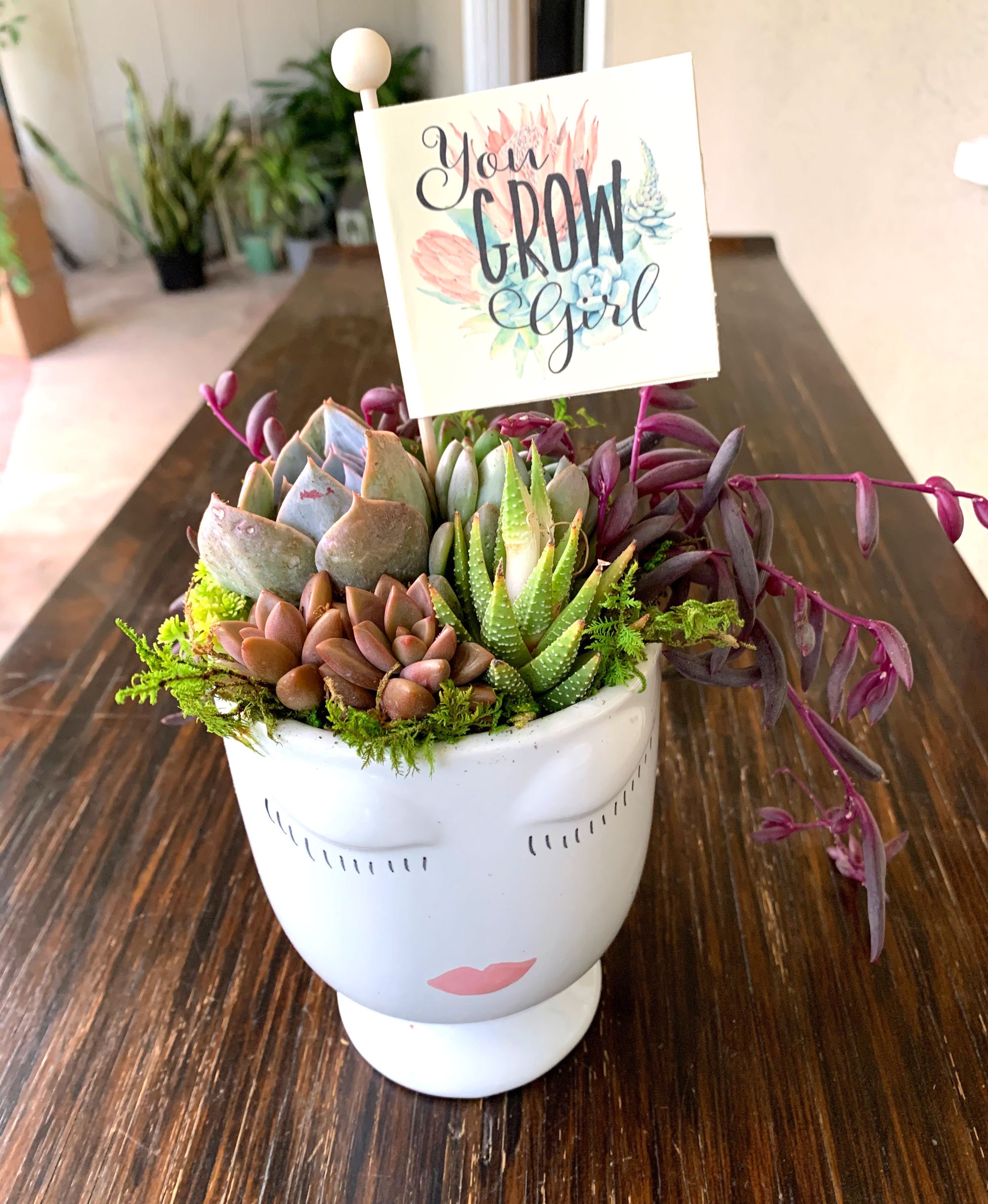 Girl Boss Succulent Gift, You Grow Girl, Plant Pun, Work Achievement ...