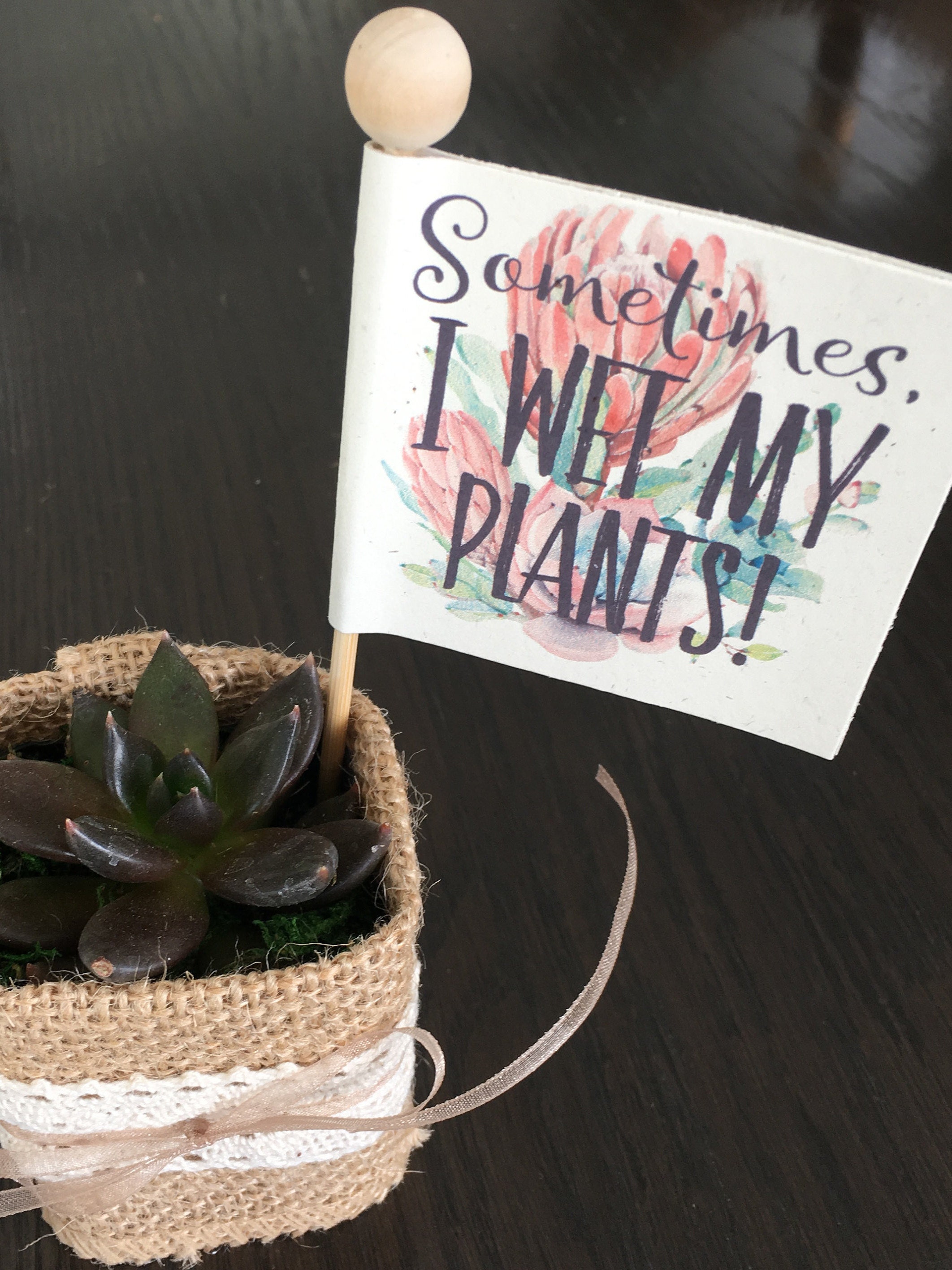 Boho Chic Succulent Baby Shower Favors With Plant Puns, Custom Tags ...