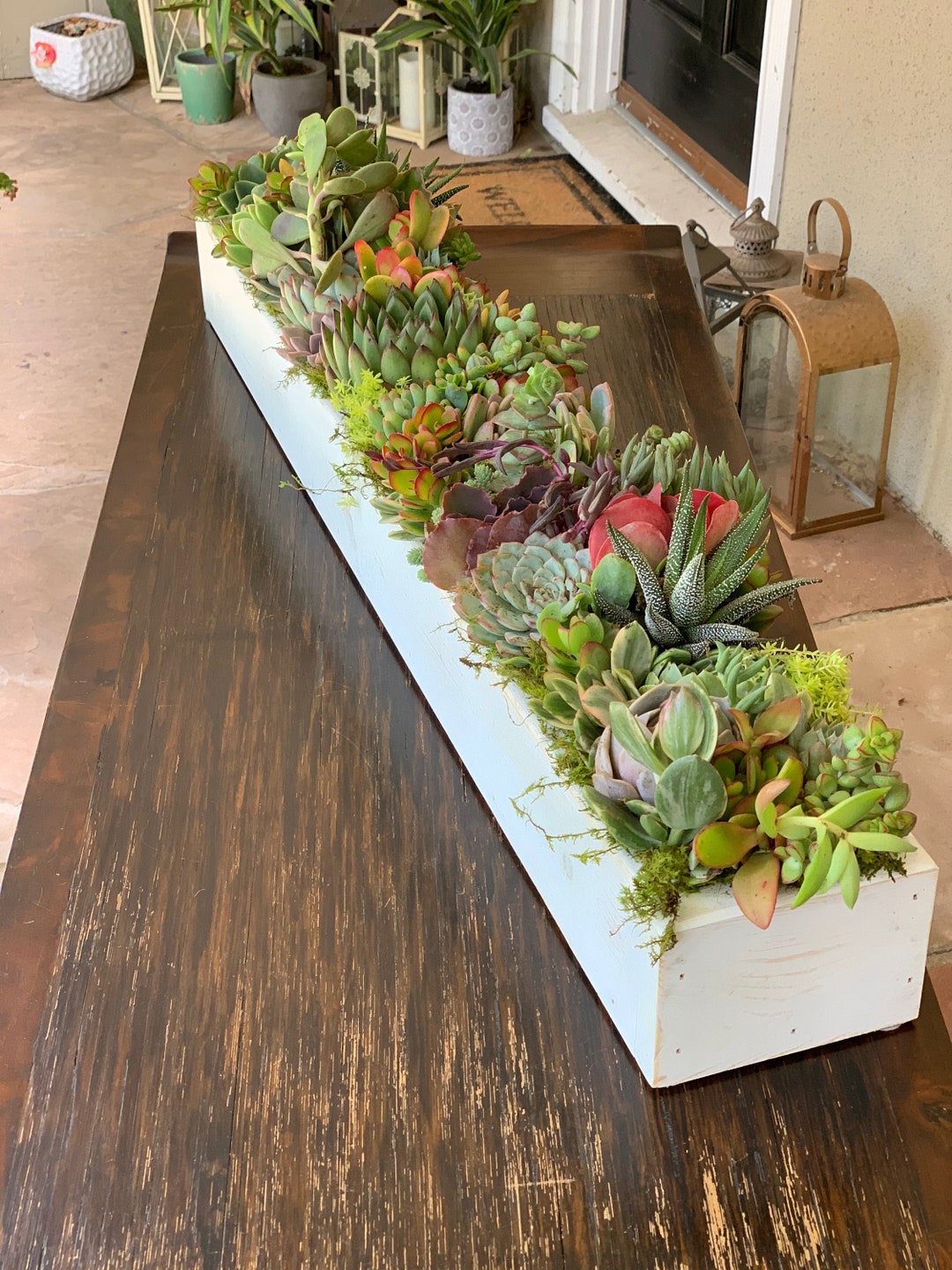 Spectacular Succulent Centerpiece, Long Handcrafted Wood Box, Succulent ...