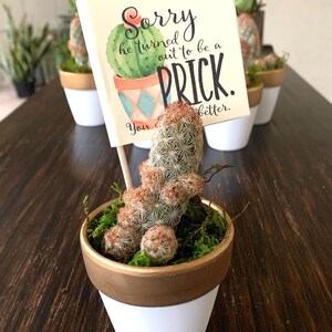 Sorry He Turned Out to Be a Prick Cactus Pun Breakup Gift - Etsy