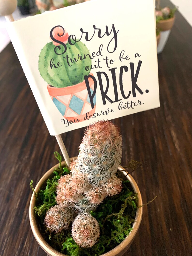 Sorry He Turned Out to Be a Prick Cactus Pun Breakup Gift - Etsy