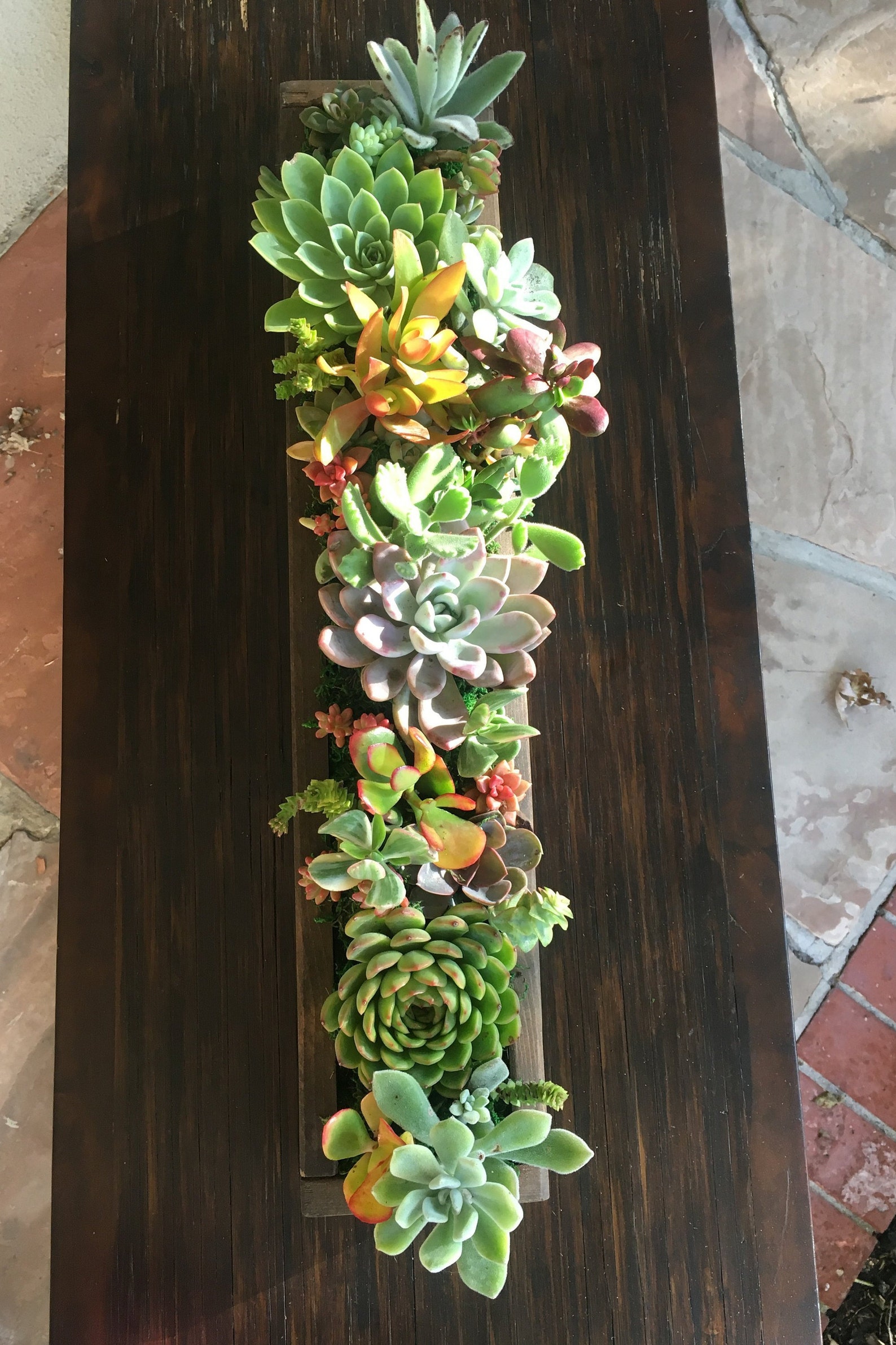 Succulent Table Centerpiece Display Long Wood Box Home Decor // SHIPS ...
