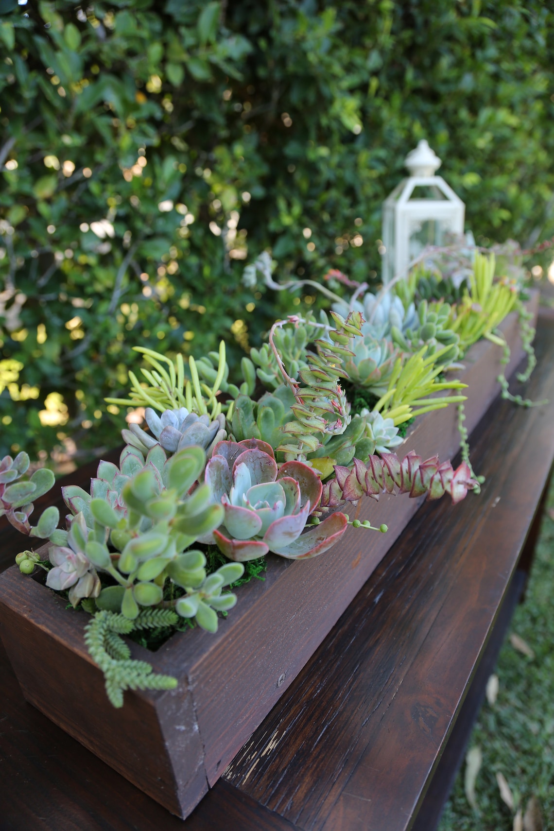 Succulent Table Centerpiece Display Long Wood Box Home Decor - Etsy