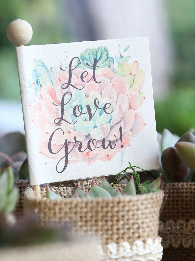 Succulent Wedding Favors With Personalized Tags Love Plant - Etsy