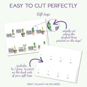 Divorce Party Favor Tags, Prick Puns, Cactus Breakup Puns, Divorce ...